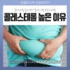 콜레스테롤 수치 콜레스테롤 높은 이유와 낮추는 방법 네이버 블로그